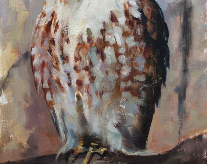 Raptor Red-tailed Hawk Archivial Print of Original Oil - Etsy
