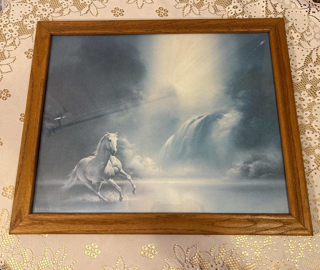 Joseph BODNER Horse White Stallion Running Wood Framed Wall Art Print ...