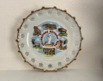 Yellowstone National Park Souvenir Plate - Etsy
