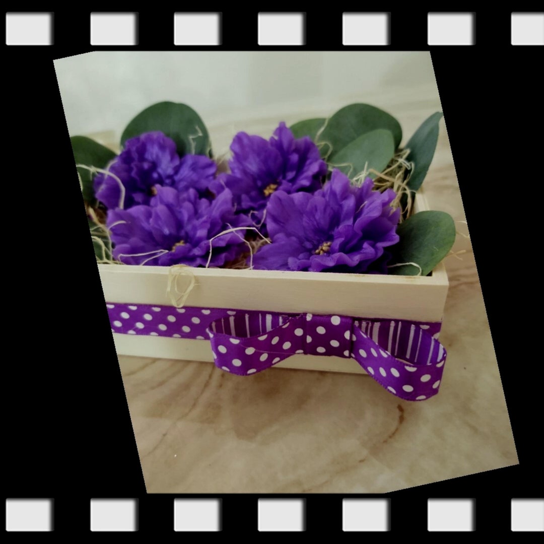 African Violets Gift Set of 4 Flowers - Etsy