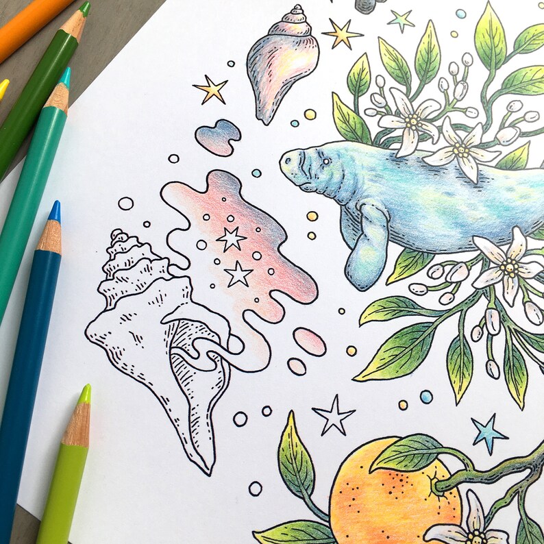 Printable Manatee Coloring Page | Florida Coastal Life - Etsy