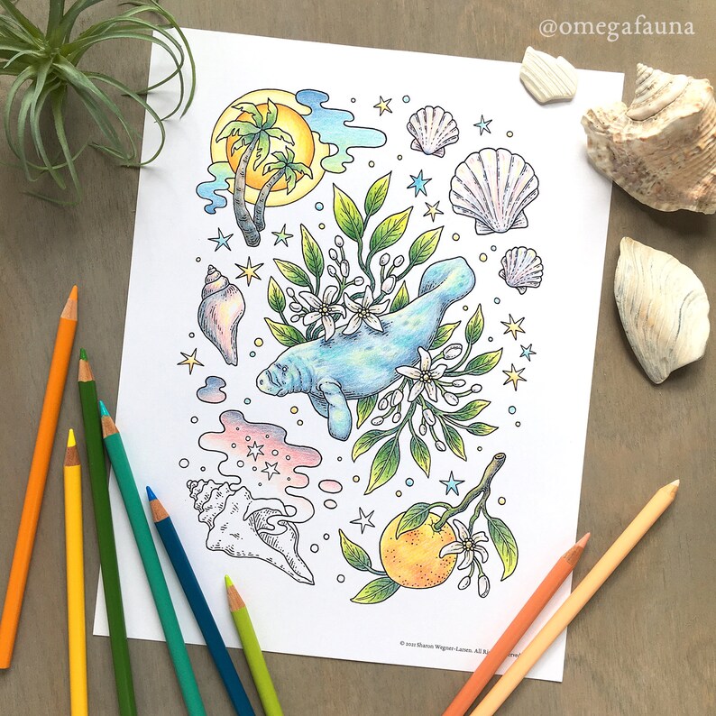 Printable Manatee Coloring Page | Florida Coastal Life - Etsy