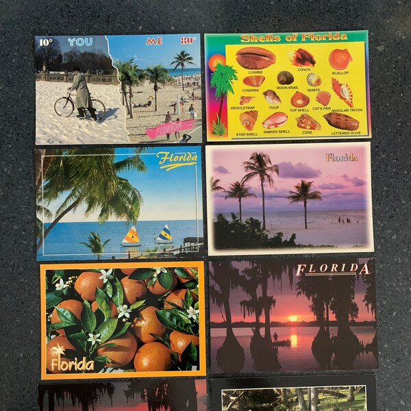 Florida Postcard - Etsy