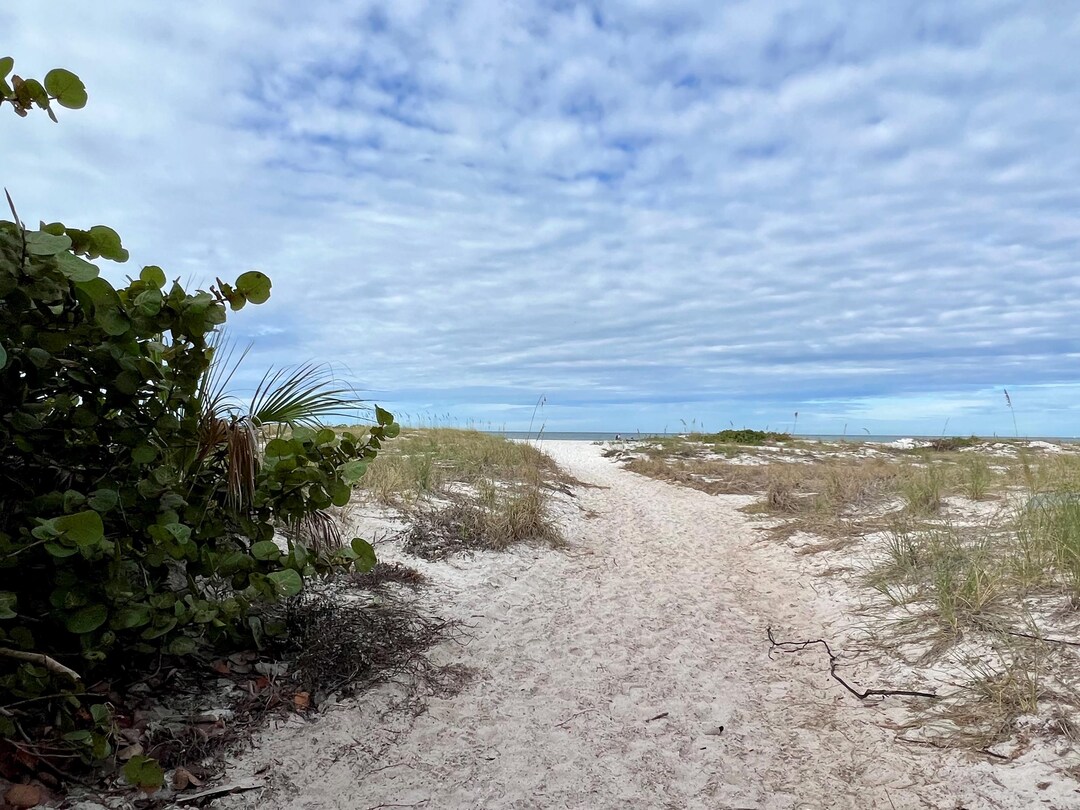 Florida Beach Path Photo Print; Coastal Photography: Tropical Wall Art ...