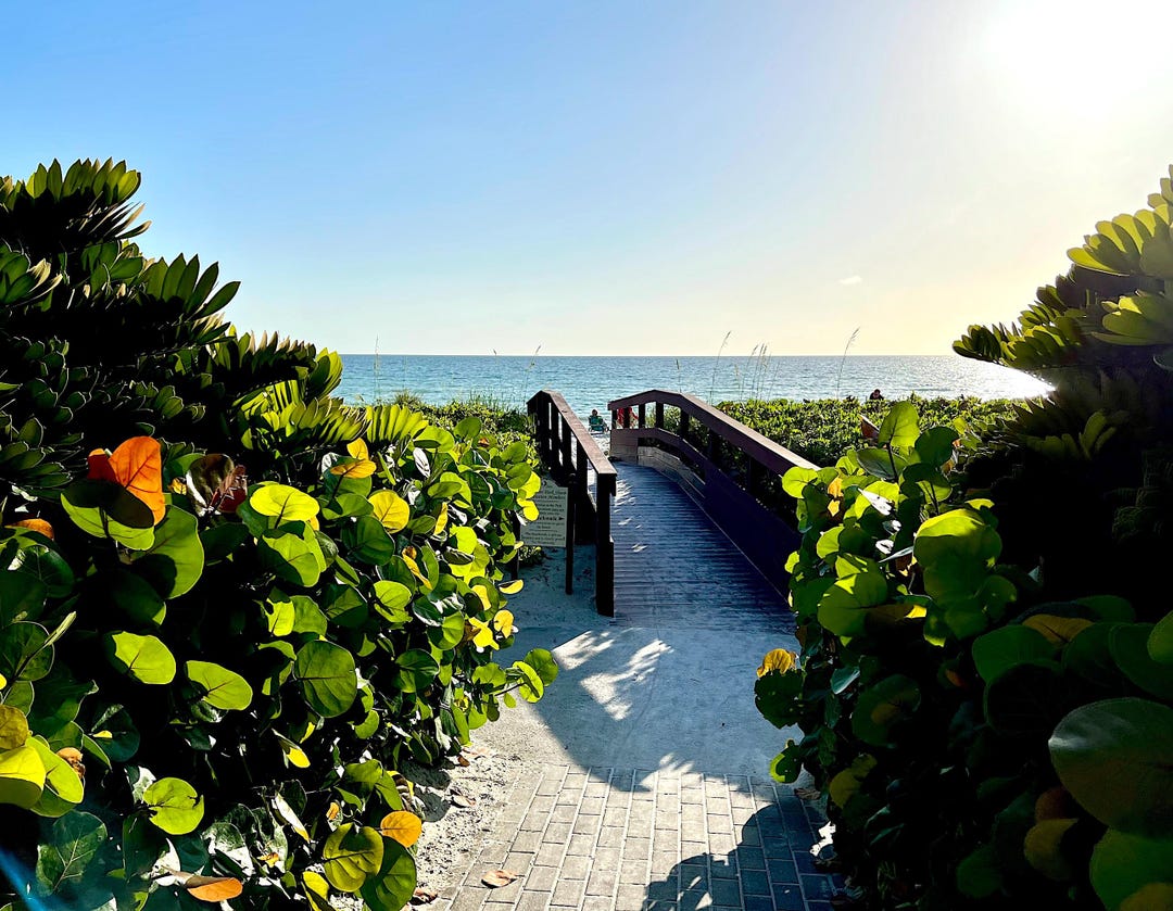 Florida Beach Path Photo Print Tropical Coastal Wall Art Florida Beach ...