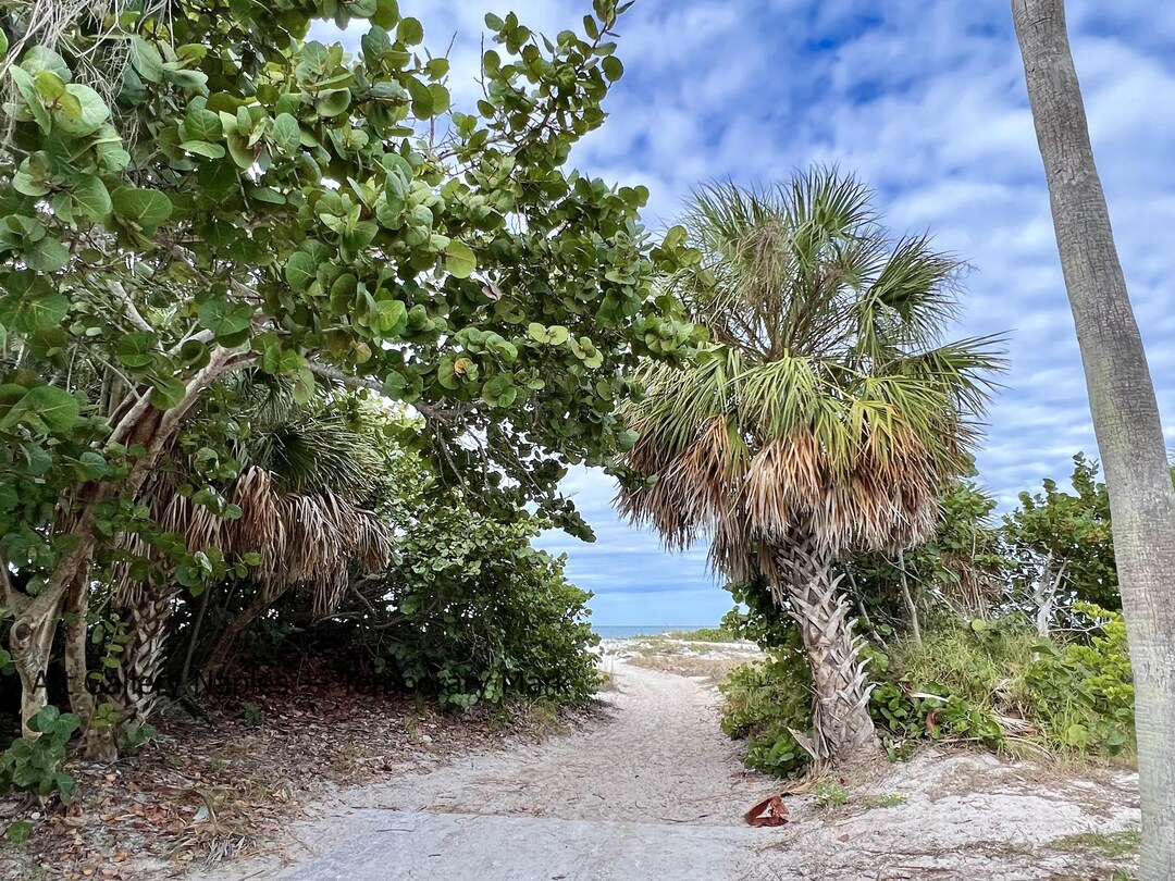 Florida Beach Walks; Florida Beach Path Photo Print; Coastal ...