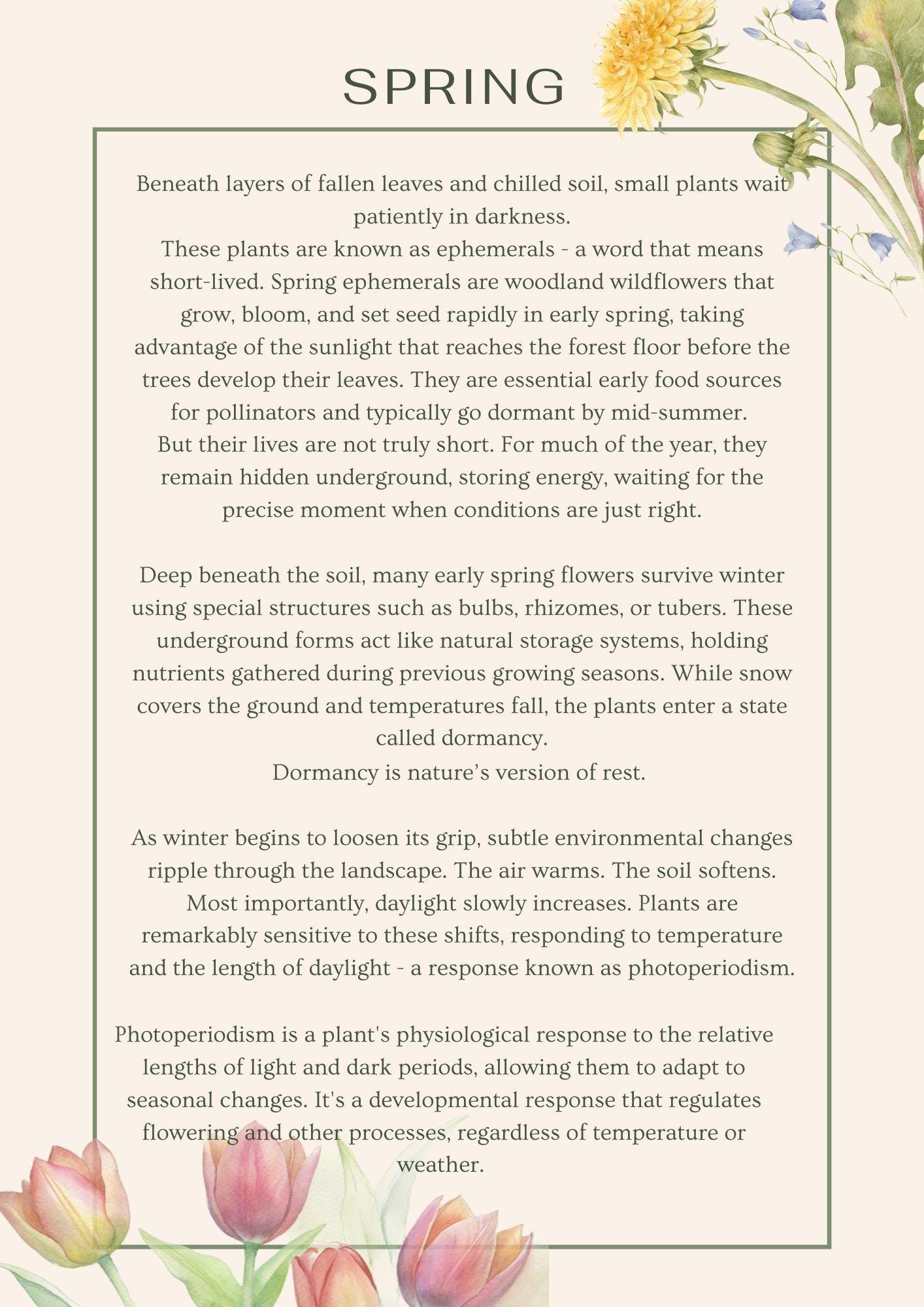Spring Science Unit Study Printable, Nature Worksheets & Activities PDF ...