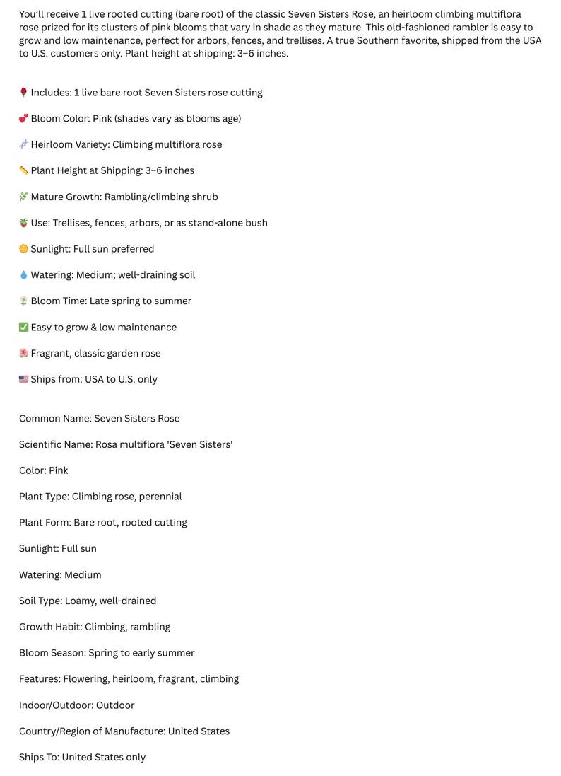 Seven Sisters Heirloom Rose Bush – Pink Climbing Rose | Live Bare Root ...