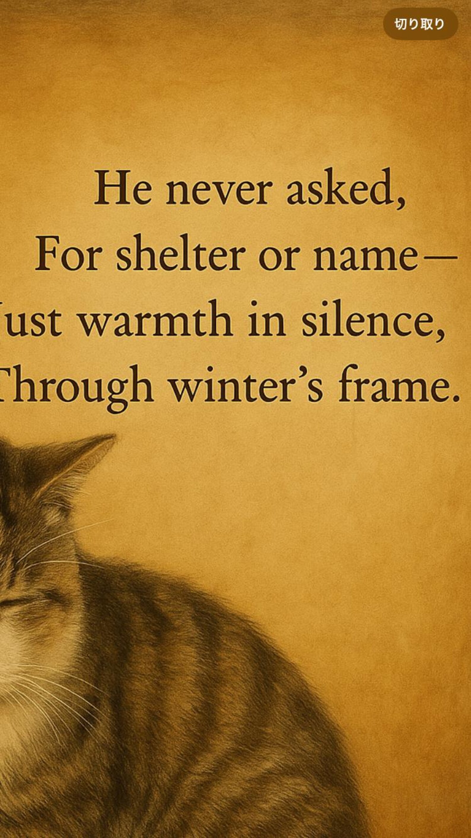 Winter Cat Poem Art A4 - Etsy