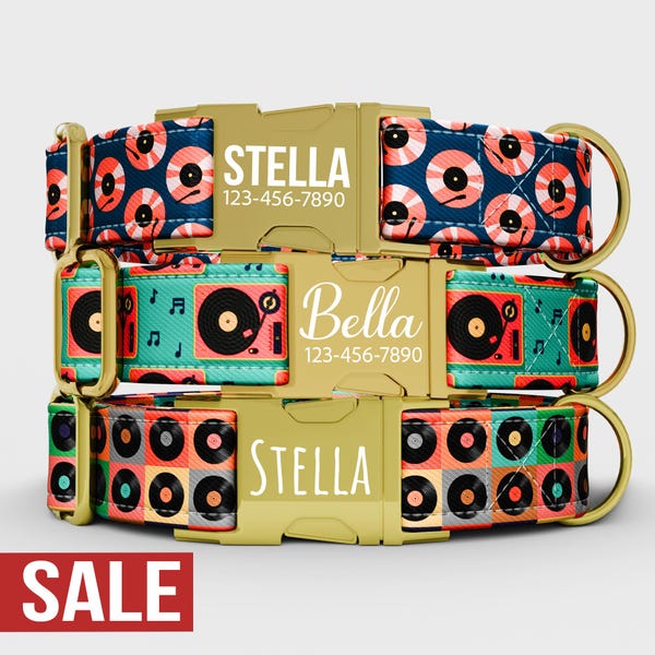 Record Player Dog - Etsy