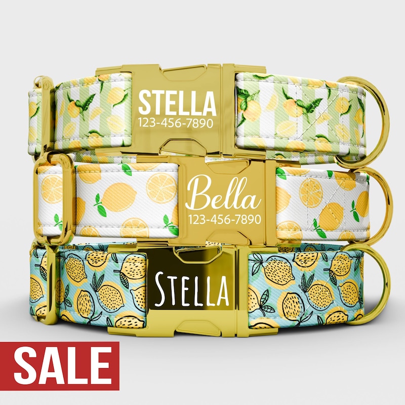 Lime Dog Name Tags - Etsy