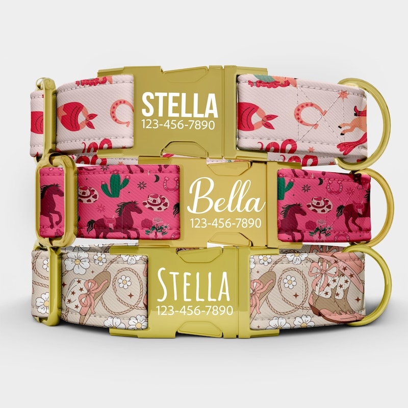 Dog Western Pink - Etsy