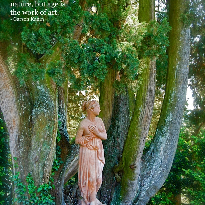 Italian Art Work Funny - Etsy