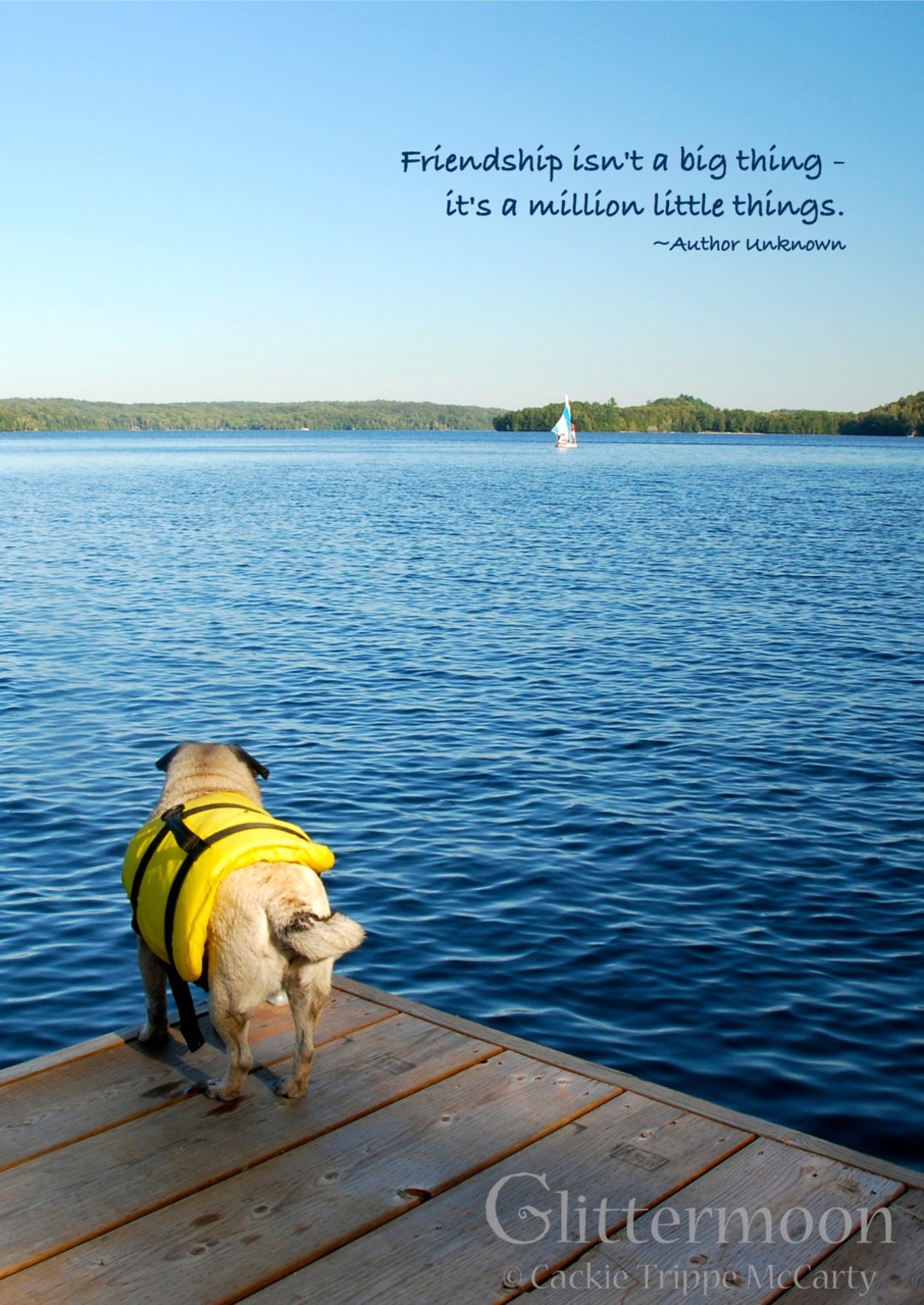 FRIENDSHIP Blank Greeting Card With PUG Dog - Etsy