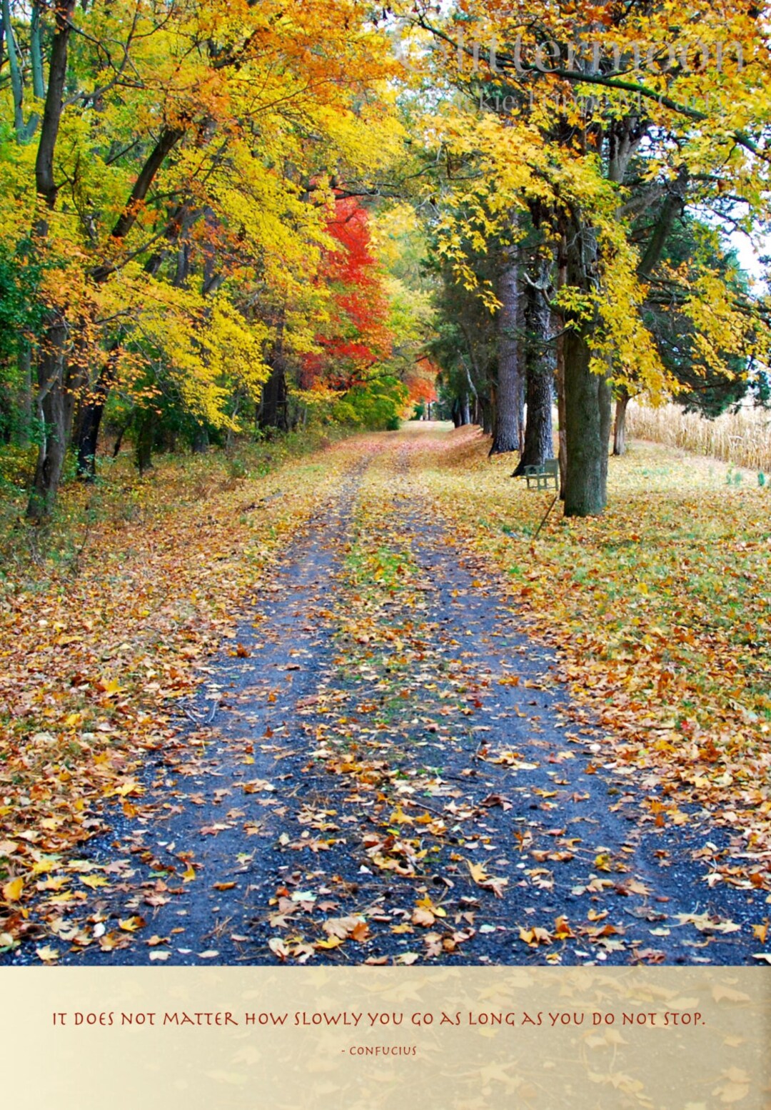 Purposeful Path Autumn Colors Encouragement Blank Greeting Card With ...