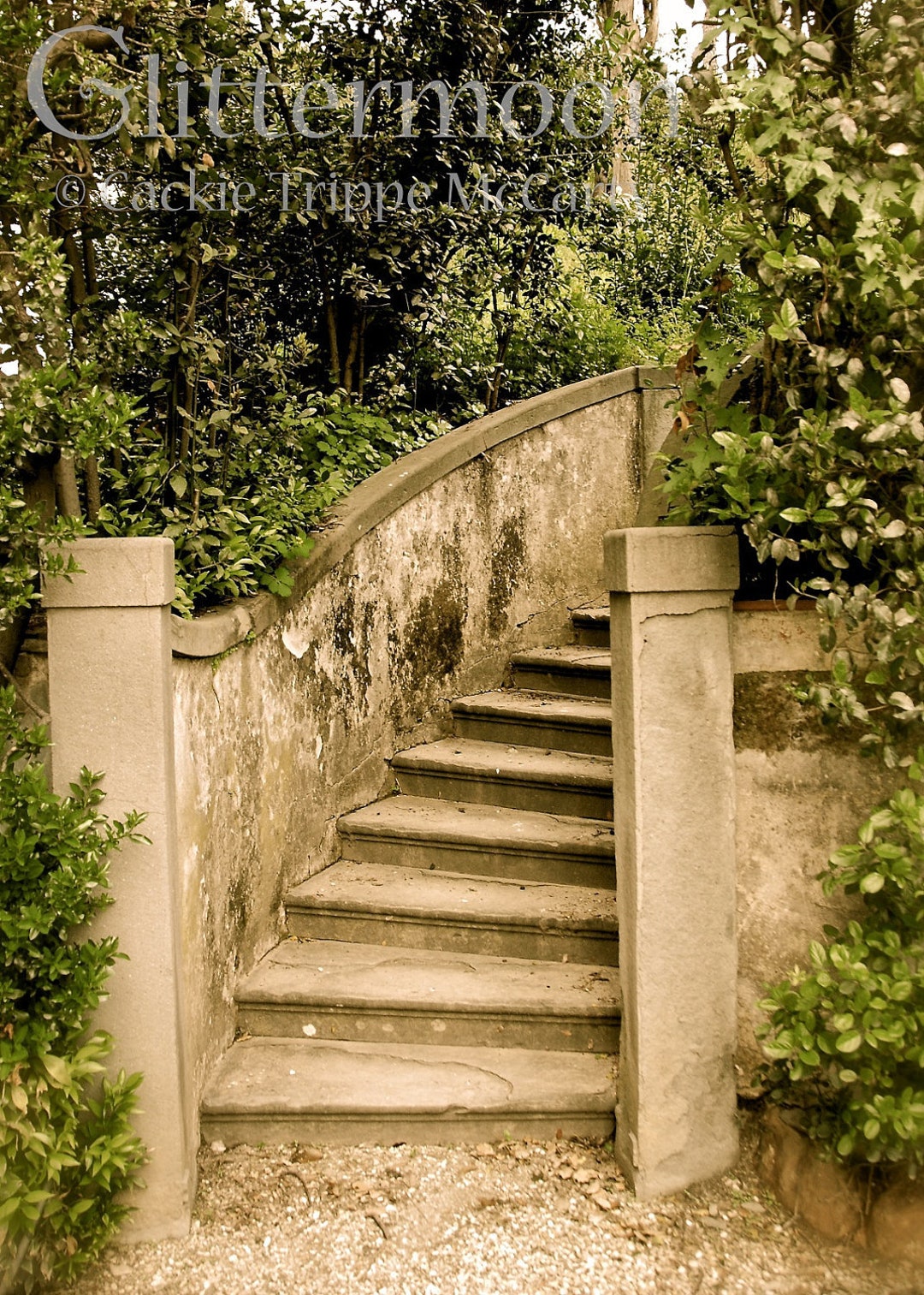 Boboli Steps FLORENCE Italy - Original Matted Photographic Print - Also ...
