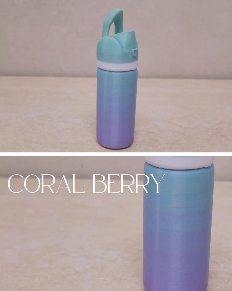 Mini Owala Keychain Bottle: 3D Printed Chapstick Holder - Color Grove ...