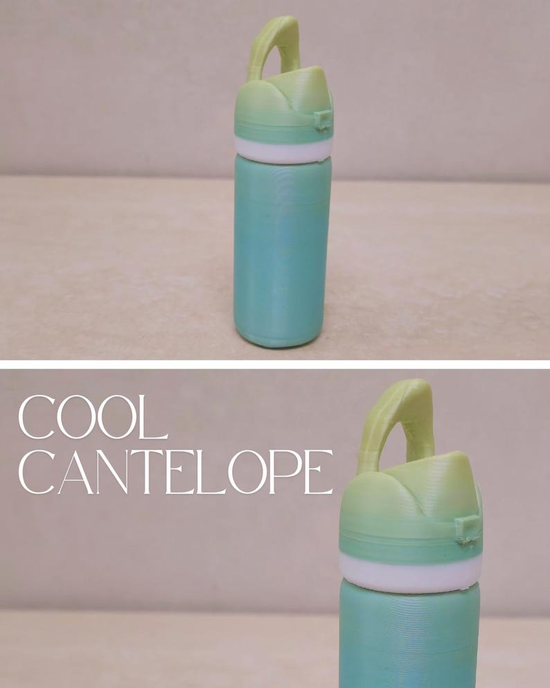 Mini Owala Keychain Bottle: 3D Printed Chapstick Holder - Color Grove ...