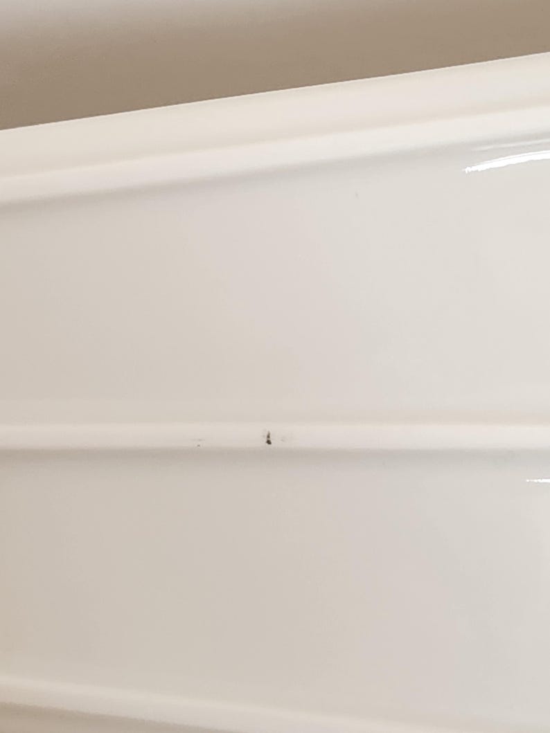 1950s Vintage Rosenthal Porcelain Cake Server - Maria Weiß Pattern ...