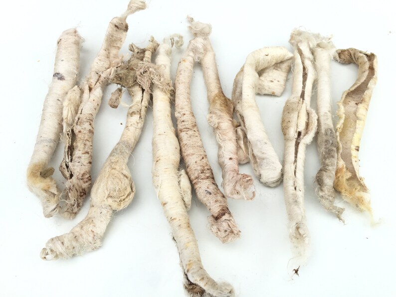 Silk Carrier Rods Silk Textile Arts and Crafts Paper - Etsy