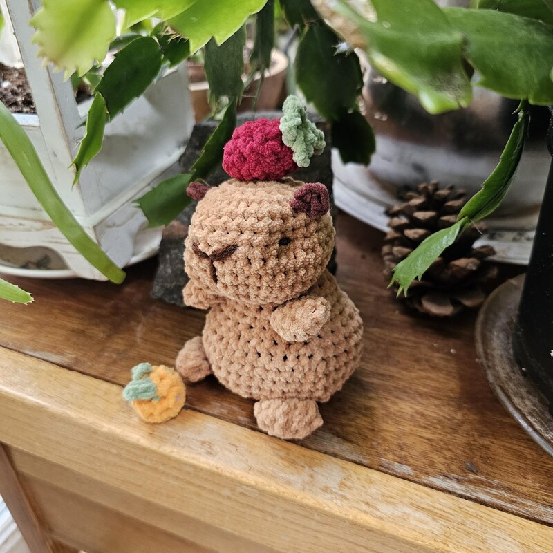 Capybara Magnetic Toys - Etsy