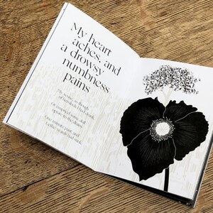 John Keats, an Illustrated Poetry Collection, Book Lover Gift Book - Etsy