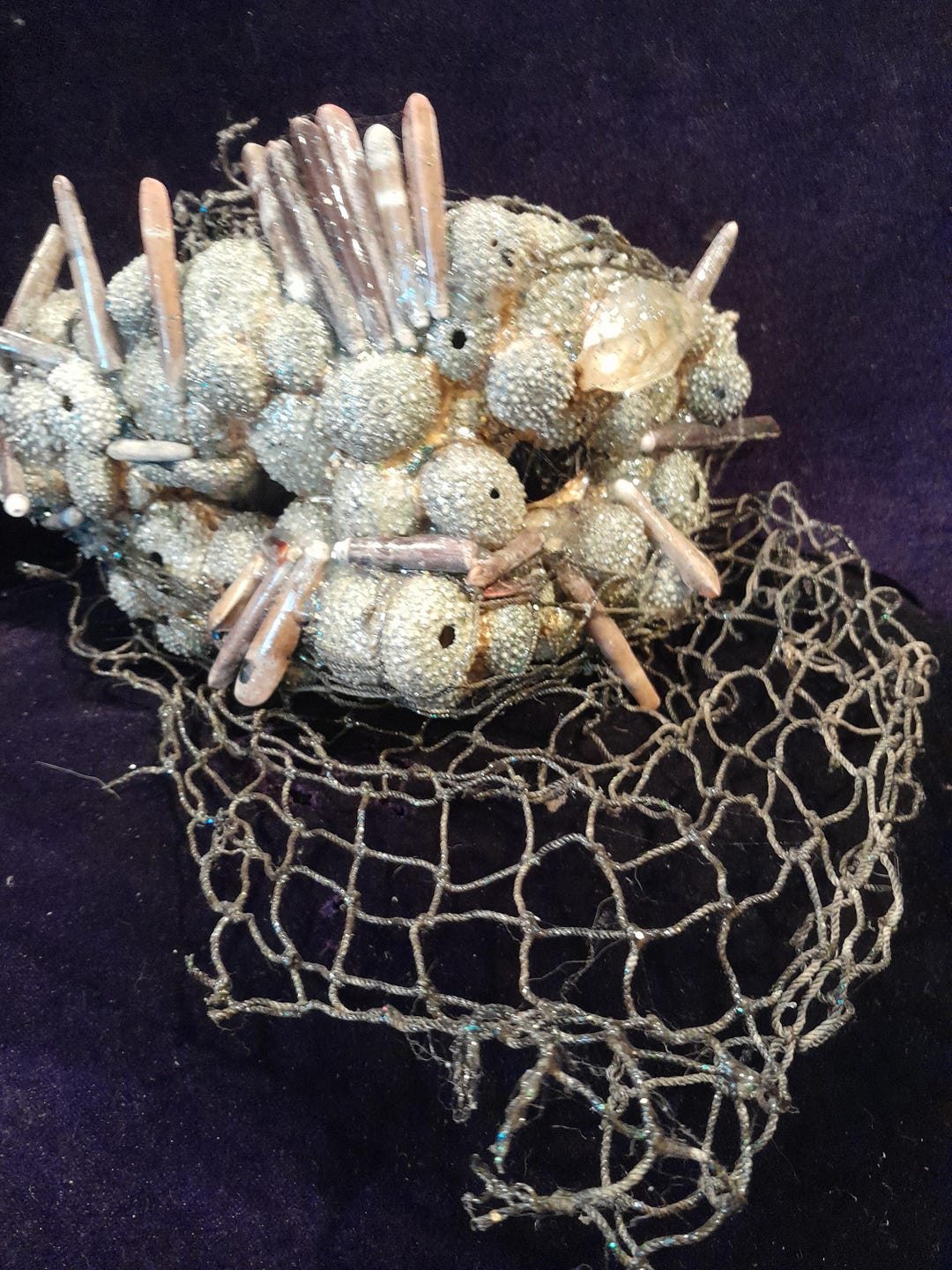 Mask. Sea Urchin Wall Art: Seashells Found on Coastlines of Big Island ...