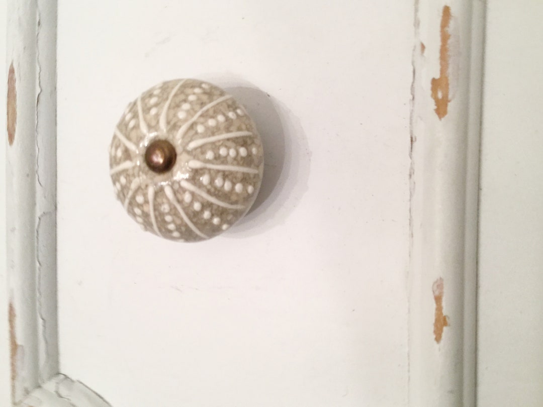 ONE Sea Urchin Knob, Beach House Knob Dresser Knob , Decorative Kitchen ...