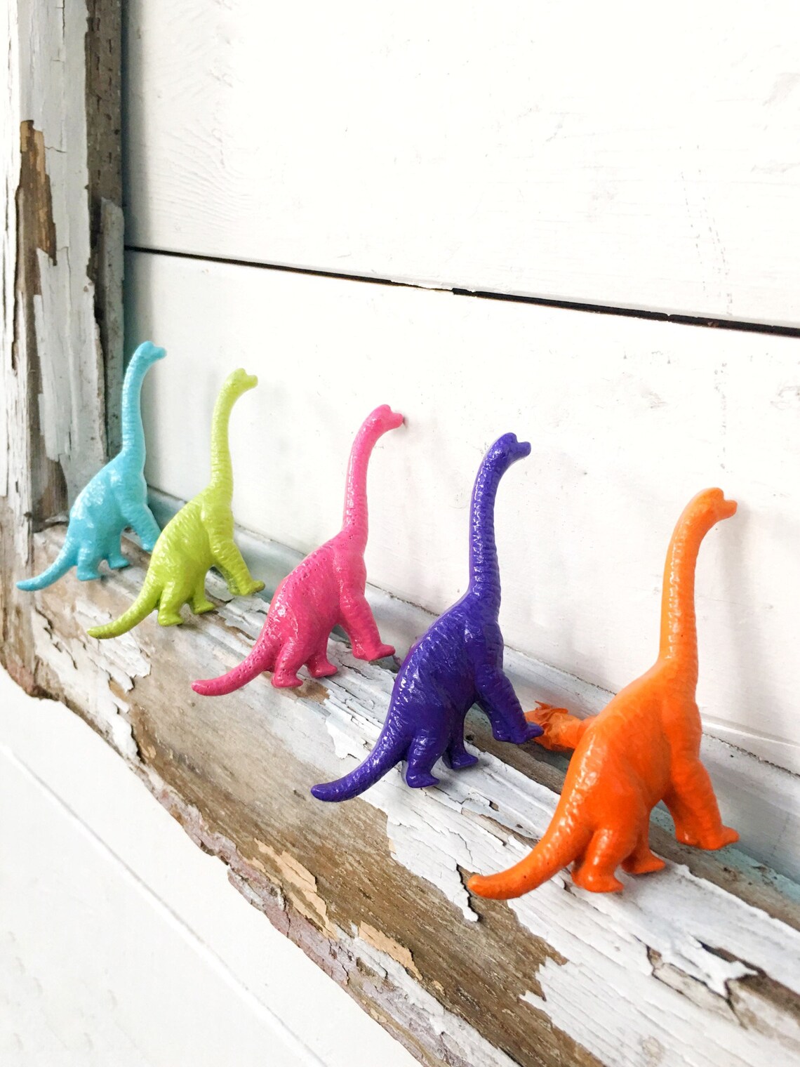Dinosaur Decor Dinosaur Nursery Decor Dinosaur Room Decor - Etsy