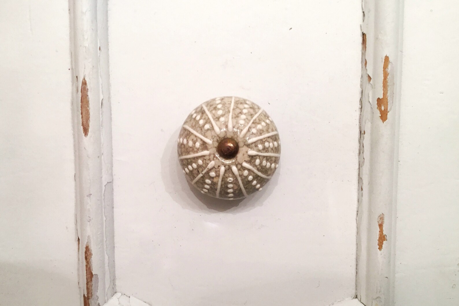 Sea Urchin Knobs Beach House Knobs Dresser Knobs - Etsy