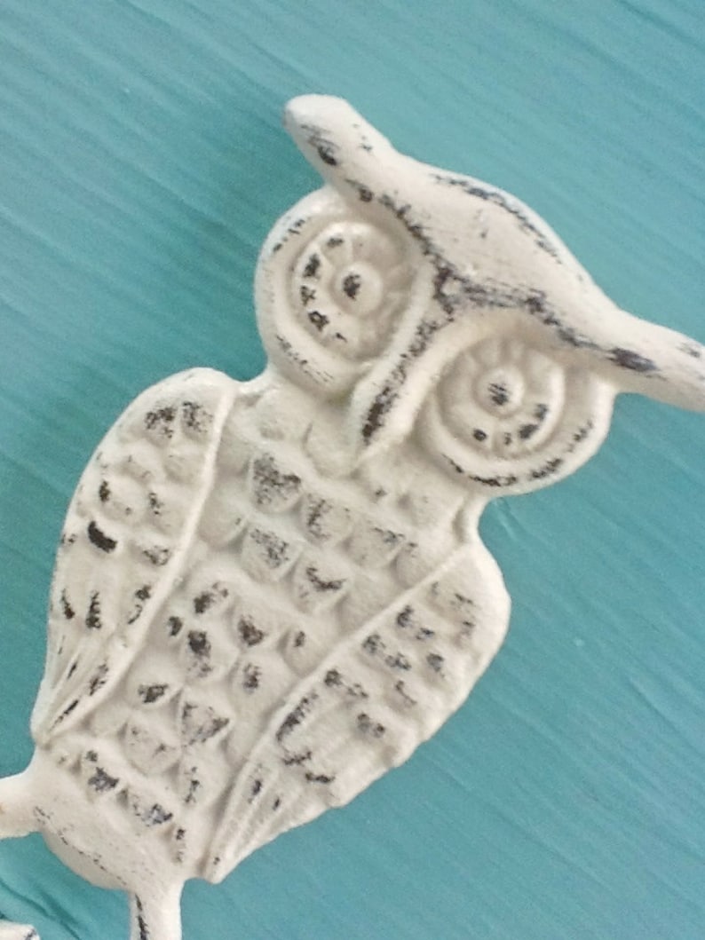 Cast Iron Owl Bottle Opener Creamy White Figural Owl old - Etsy