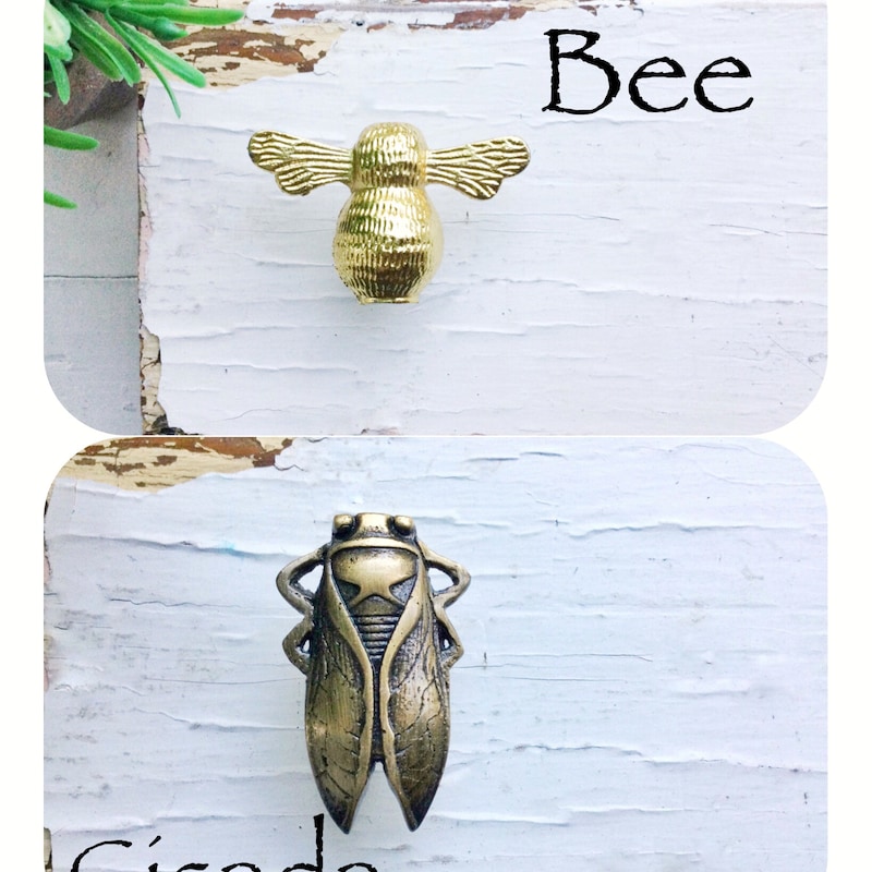 Insect Drawer Knobs - Etsy