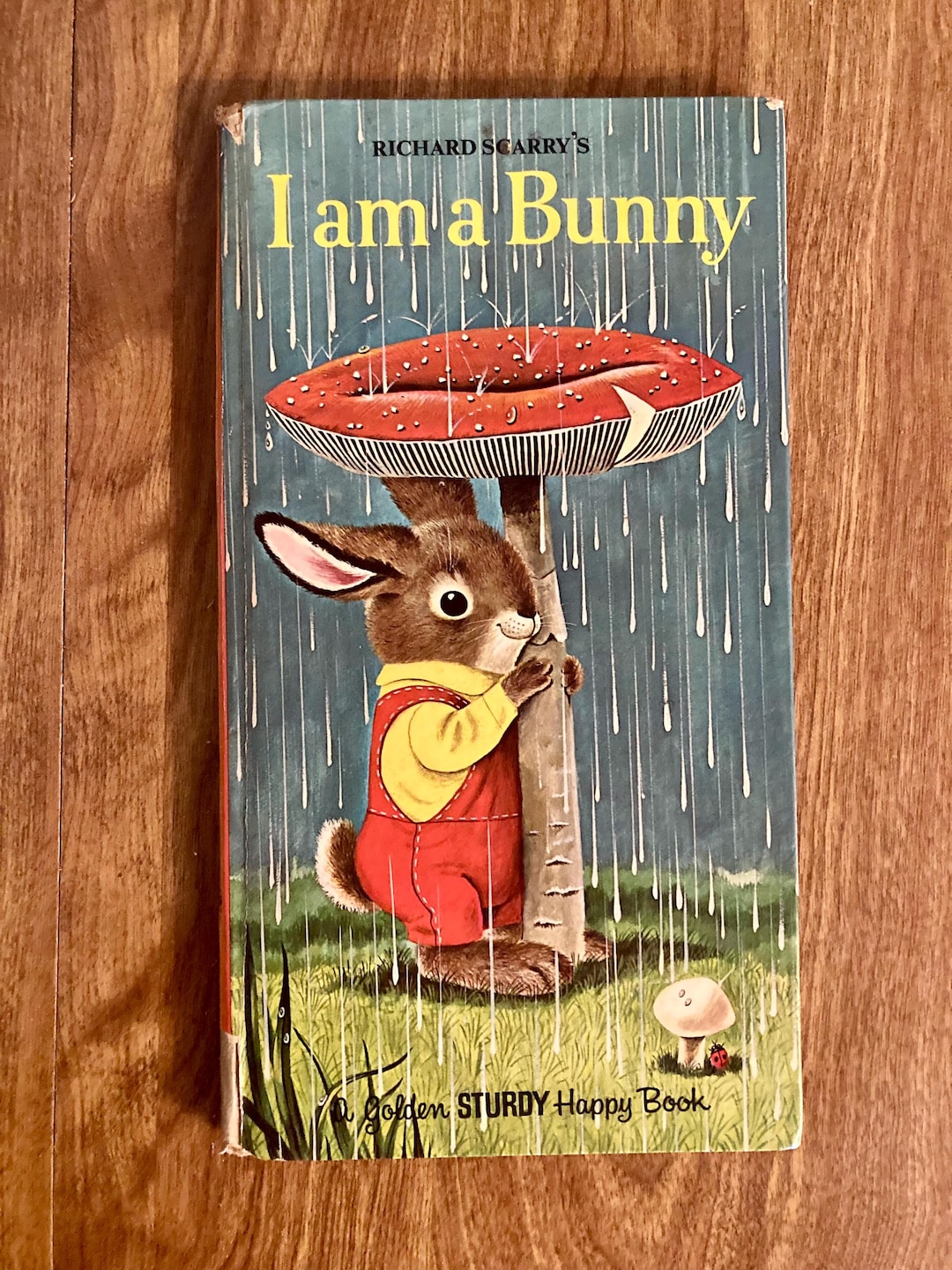 I Am a Bunny Book, Richard Scarry Book, Vintage Children's Book, Child ...