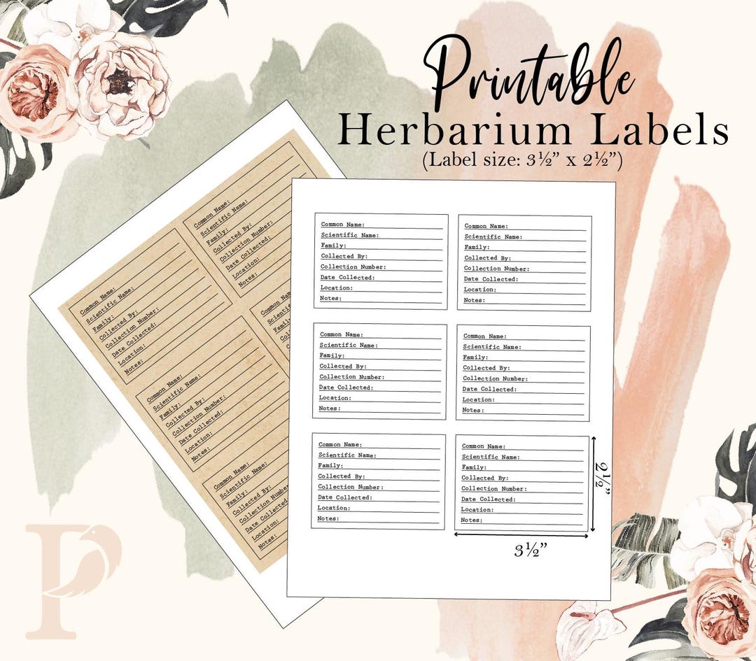 Botanical Plant Labels Printable | Herbarium Pressed Flower Labels ...