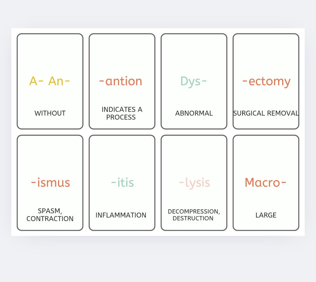 Medical Terminology Printable Flashcards - Etsy