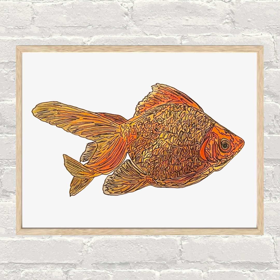 Hand Drawn Goldfish Print - Etsy