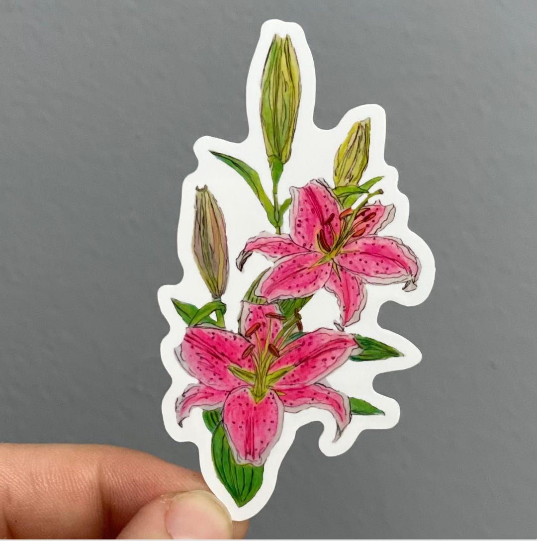 Hand Drawn Stargazer Lily Vinyl Sticker | Botanical Garden Decal - Etsy