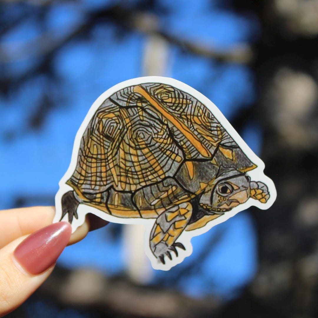Hand Drawn Turtle Vinyl Sticker | Reptile Computer Decal - Etsy