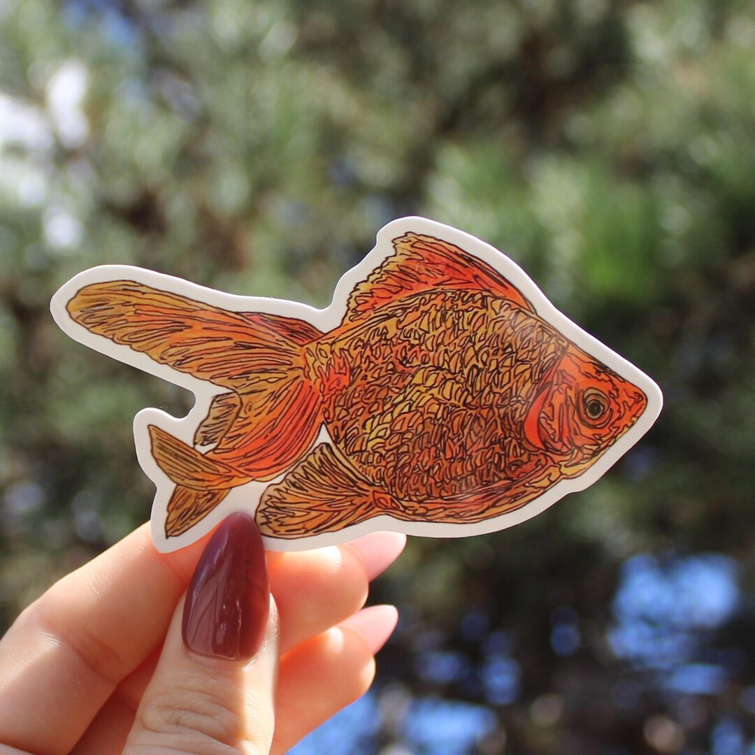 Hand Drawn Goldfish Vinyl Sticker | Ocean Life Computer Decal - Etsy