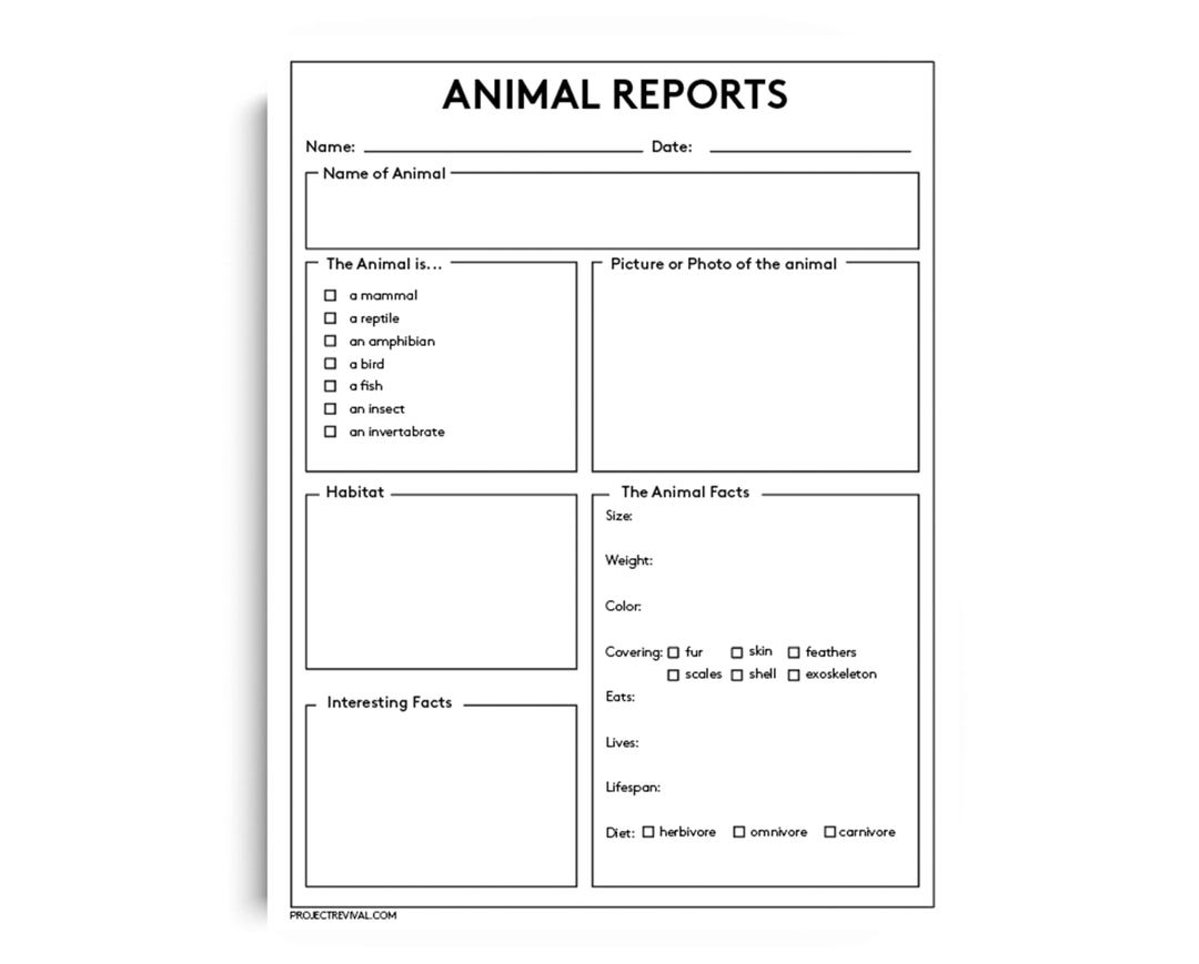 Animal Report Worksheet: Homeschool Science, Grades 3-6 (PDF Download ...