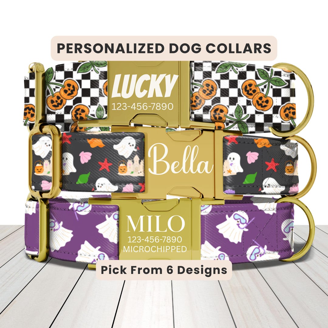 Summerween Dog Collar, Personalized Dog Collar, Summer Dog Collar ...