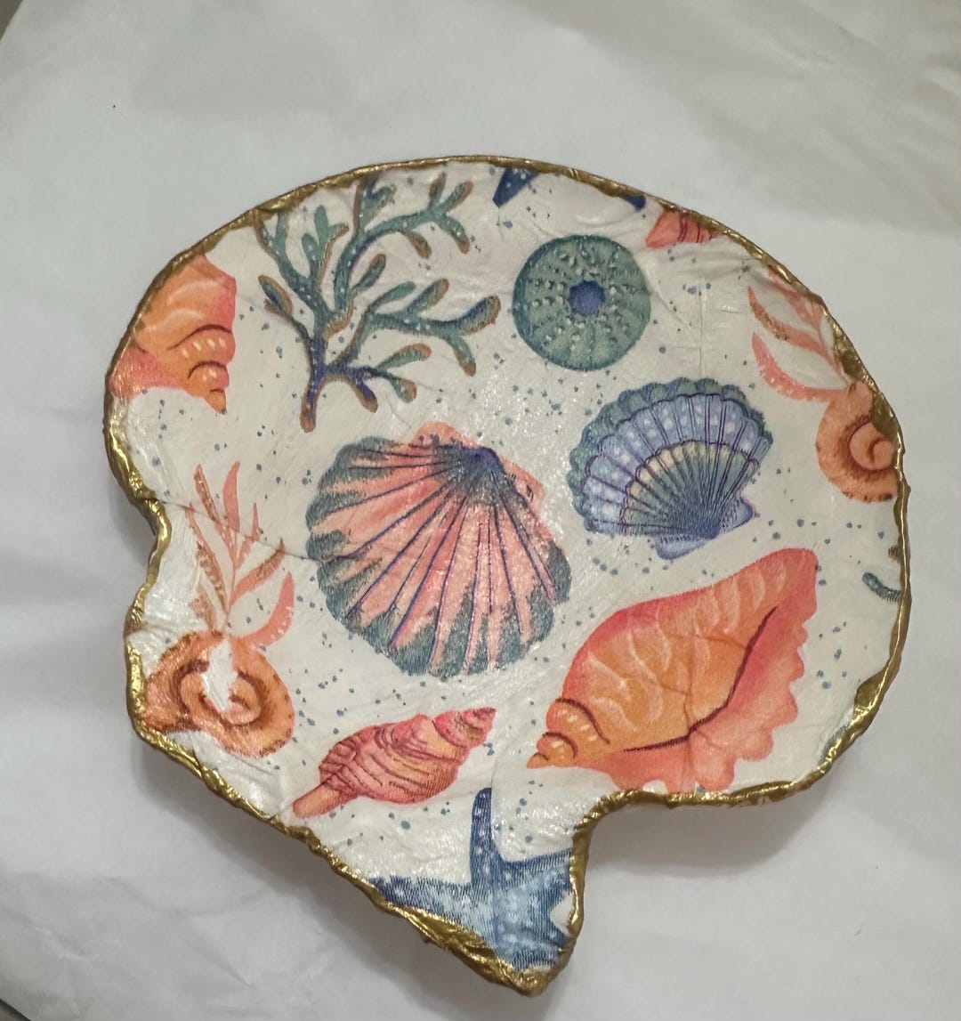 Seashell Dish - Coastal Collection - Etsy