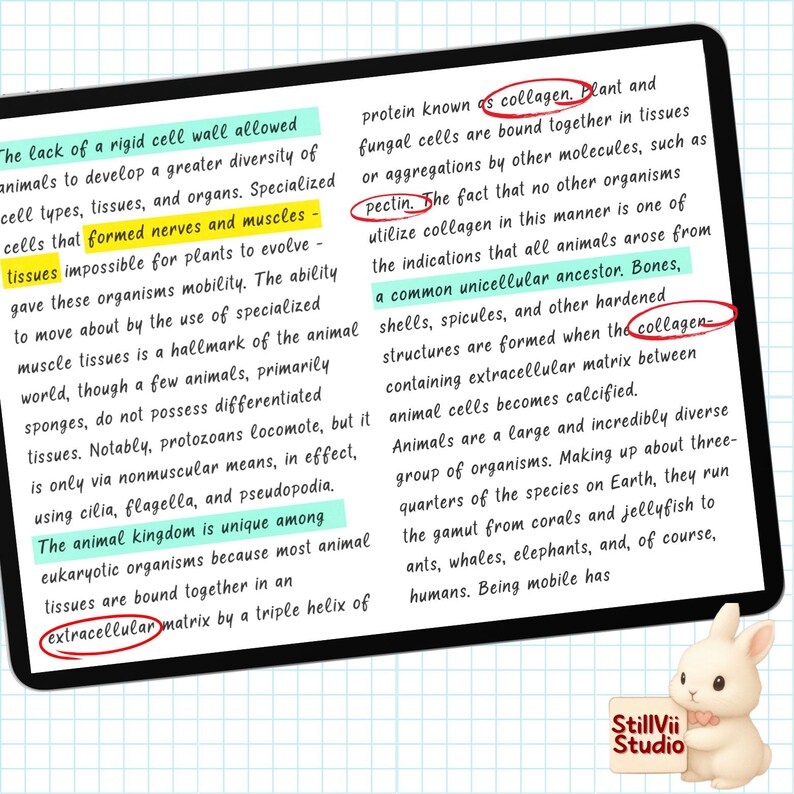 Handwritten Fun Font for Planner, Goodnotes & Remarkable, Procreate ...