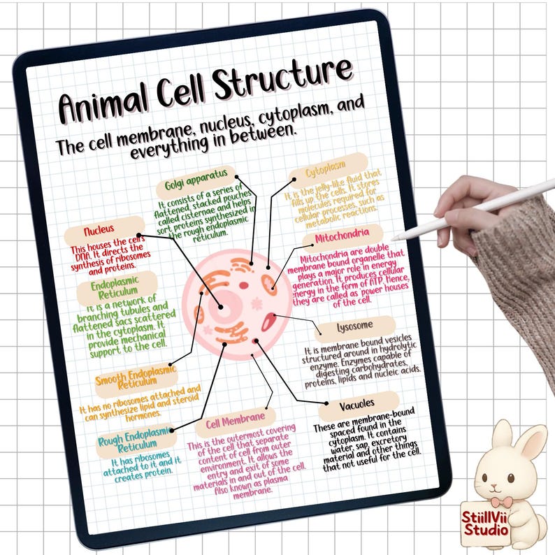 Neat Handwriting Font for Digital Planner, Goodnotes & Remarkable Pro ...