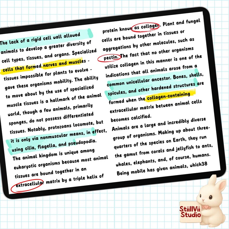 Mellow Mood - the Bubbly & Bold Handwritten Font for Digital Planners ...