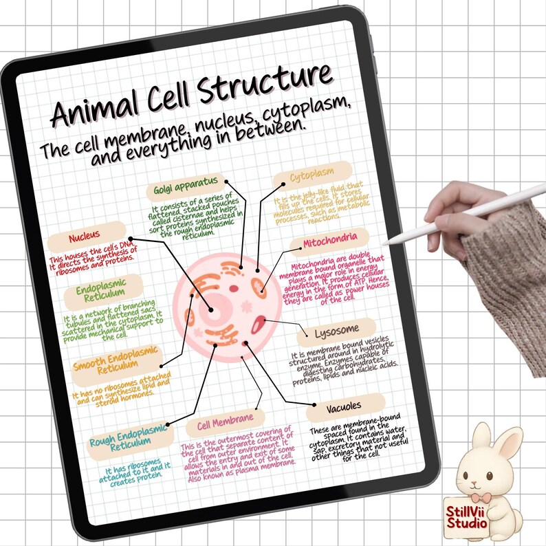 Neat Handwritten Font for Digital Planner, Goodnotes & Remarkable ...