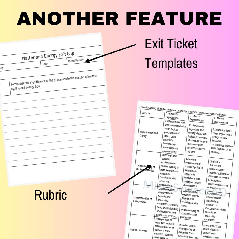 Explaining the Cycling of Matter & Flow of Energy: Aerobic Vs ...