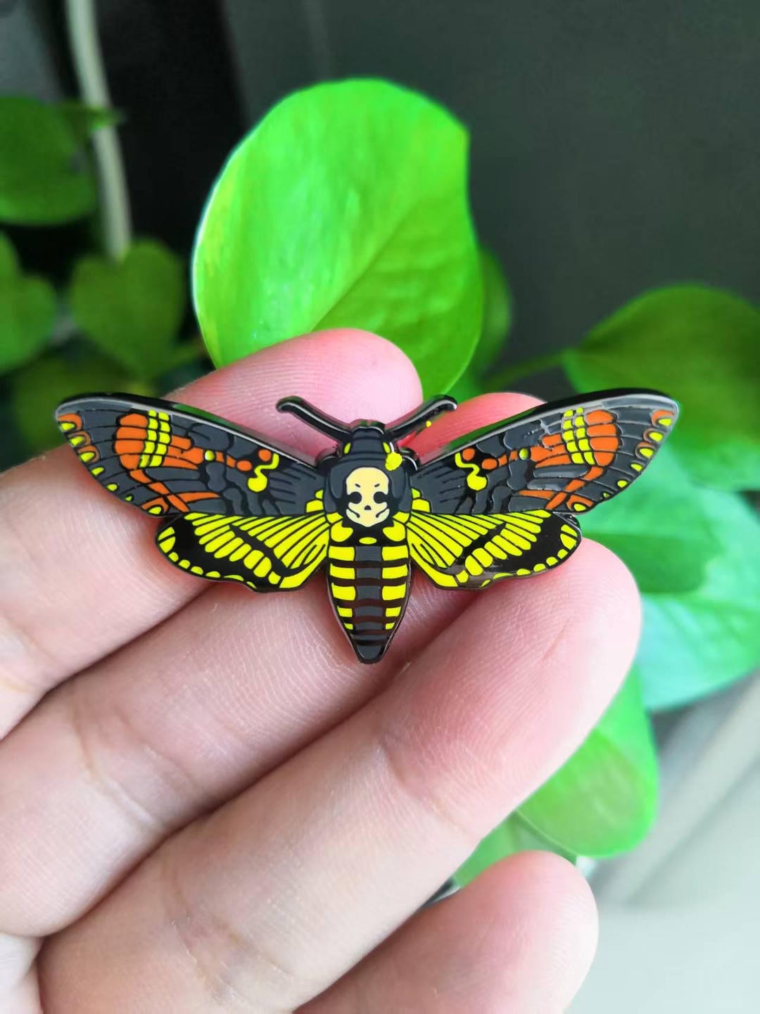 Acherontia Atropos Skull Moth Death’s Head Hawkmoth Butterfly Insect ...