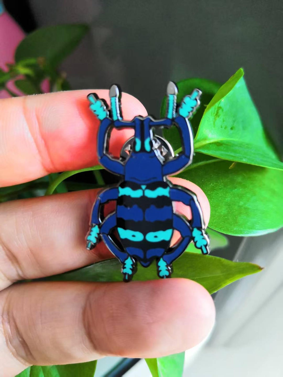 Eupholus Magnificus Blue Metallic Weevil Insect Enamel Collection Badge ...