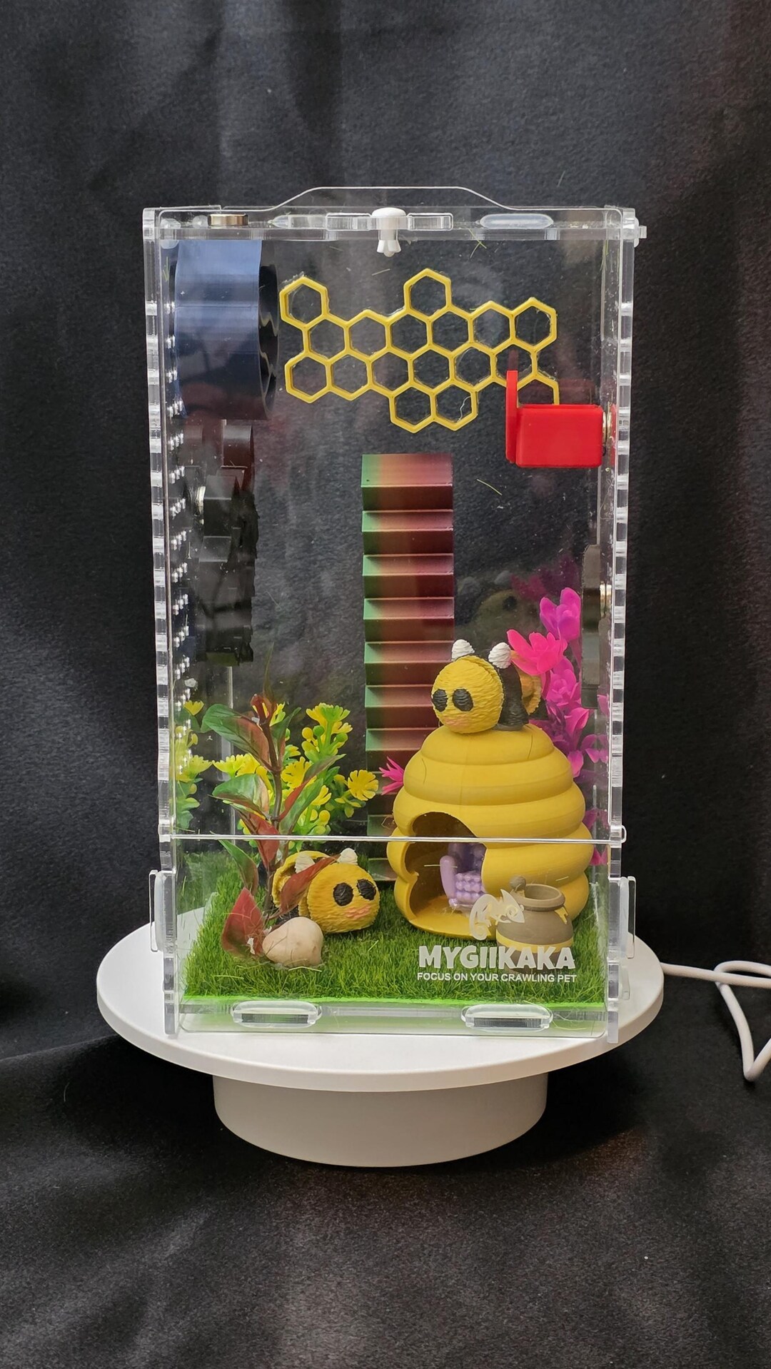 Busy Bees Jumping Spider Enclosure - Etsy